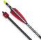TenPoint Crossbow Discharge Arrow | 725-grains with Alpha-Nock