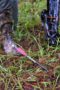 TenPoint Crossbow Discharge Arrow | 725-grains with Alpha-Nock