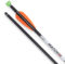 Wicked Ridge Match 400 Alpha-Blaze Lighted Carbon Arrows - TenPoint