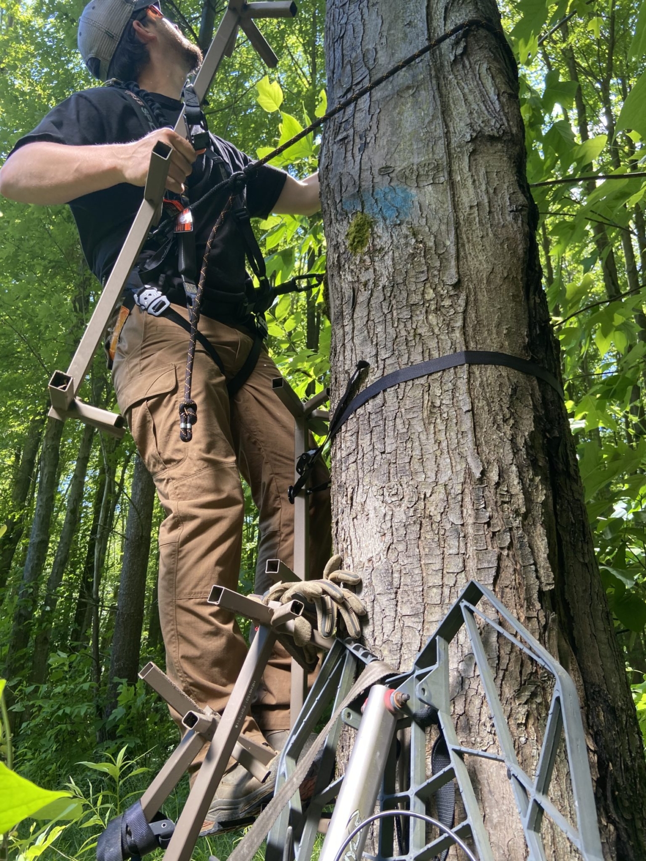 Where to Hang Your Stand & Cut Shooting Lanes - TenPoint