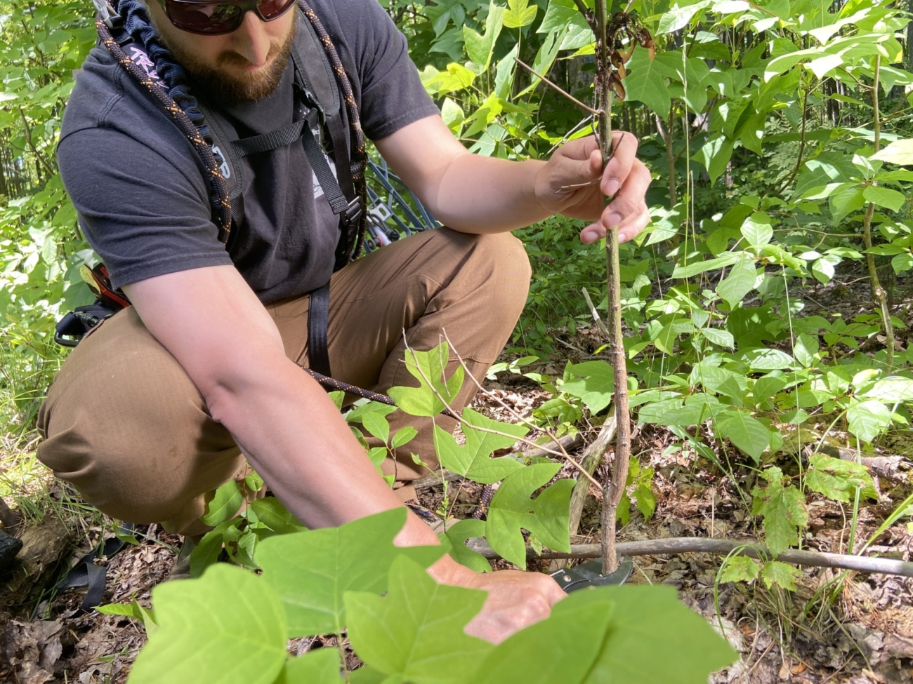 What Is Your Early Season Hunting Plan?